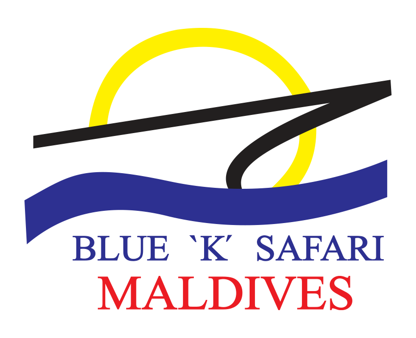 Availability - Blue K Safari Maldive